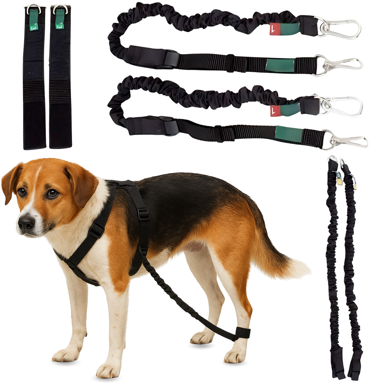 Dispositivo para Ataxia Canina | Assistência a Cães— OrtoPrime.pt